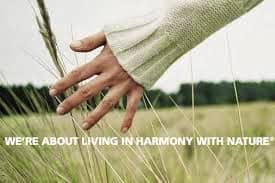 HarmonyWNature - The Vanilla Tulip